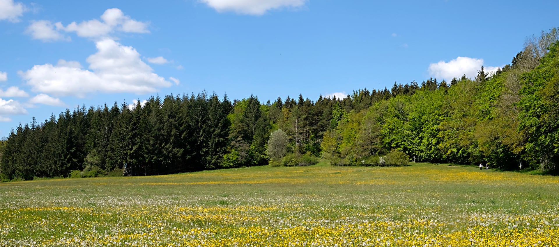 Aufmerksam wandern in der Euregio Maas-Rhein